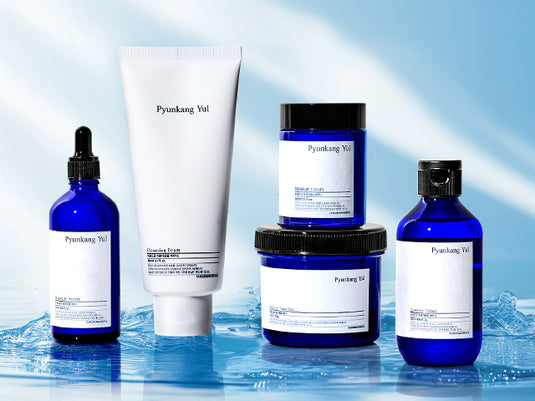 Pores & Sebum – Pyunkang Yul US